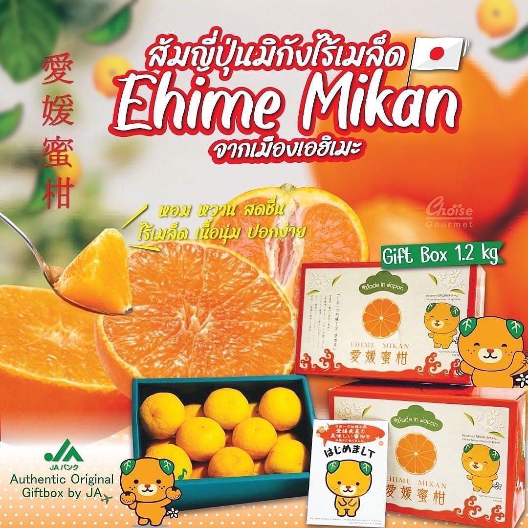 Japanese Orange Archives - Choise Gourmet